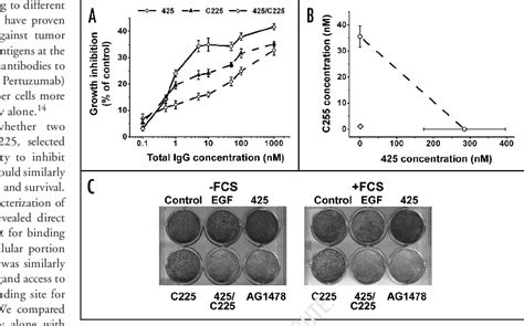 Combinatorial Effects Of Mabs 425 And C225 On Proliferation And