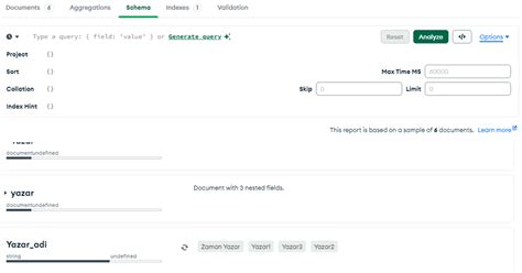 Mongodb Compass Schema Nedir Ve Ne İşe Yarar