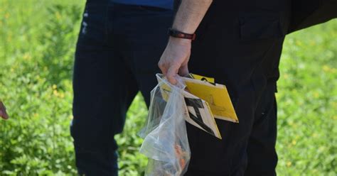 Obligan A Presunto Feminicida A Desenterrar El Cuerpo De Su Víctima En