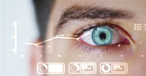 The Effectiveness Of Iris Recognition Biometric Technology In Preventing Identity Theft And