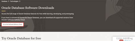 【oracle篇】通过官网下载最新的数据库软件或者历史数据库软件oracle数据库下载 Csdn博客
