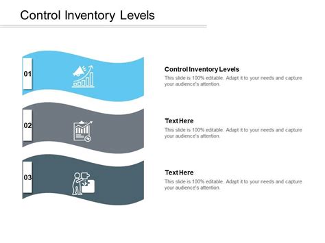 Control Inventory Levels Ppt Powerpoint Presentation Slides Structure Cpb