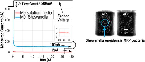 Chronoamperometry Ca Experiments With Different Concentrations
