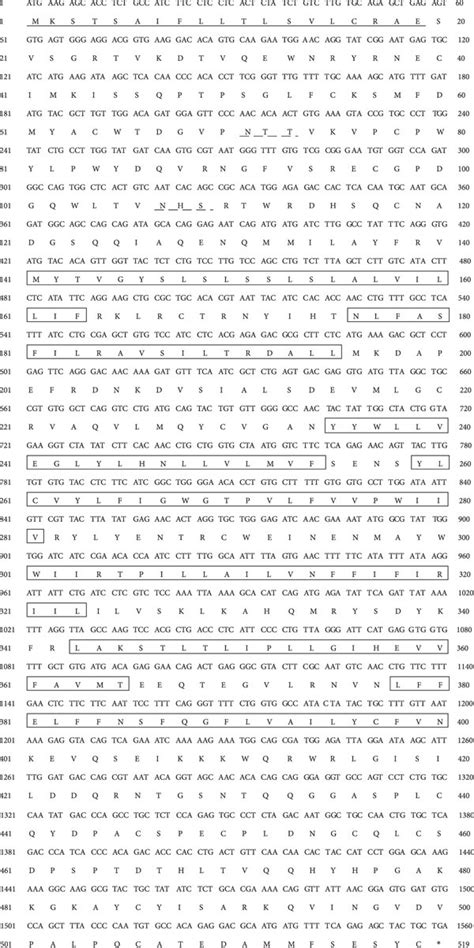 A The Cdna And Deduced Amino Acids Of Grass Carp Gipr Single Download Scientific Diagram