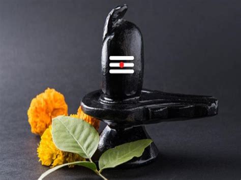 Sawan Ka Pehla Somwar First Monday Of Sawan Puja Vidhi Things You Offer