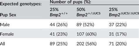 Cre Recombinase Does Not Account For Reduced Fitness In Mice Lacking Download Table