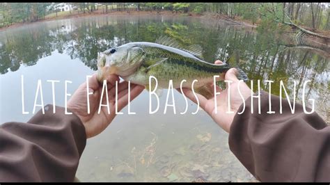 Late Fall Bass Fishing Youtube