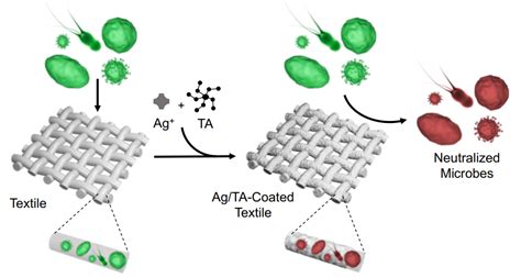 Anti Odor Coating Is No Washout The University Of Tokyo
