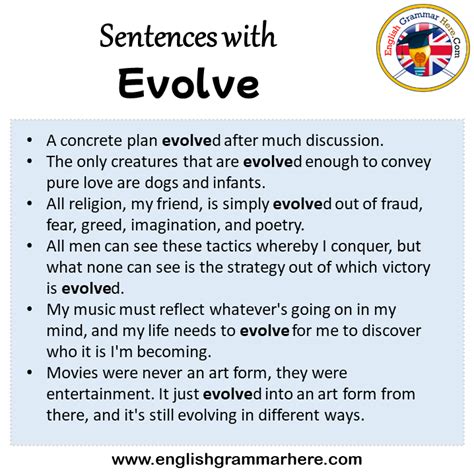 Sentences With Evolve Evolve In A Sentence In English Sentences For