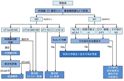 症例｜胃がんについて（症状・病期分類・治療）｜医療法人社団公仁会 槇殿順記念病院｜まきどのじゅんきねんびょういん｜