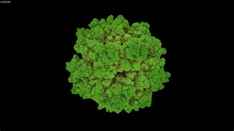 diffusion limited aggregation softology s blog