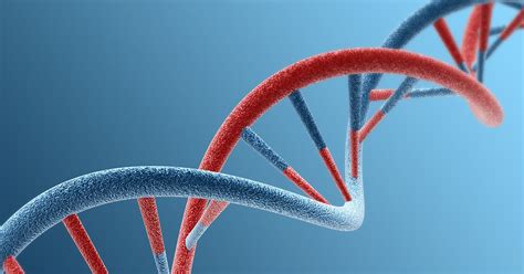 The Us Is Cracking Down On Synthetic Dna Wired