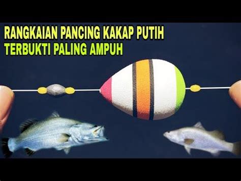 Cara mudah membuat rangkaian pancing kakap putih YouTube Balık Oltalar