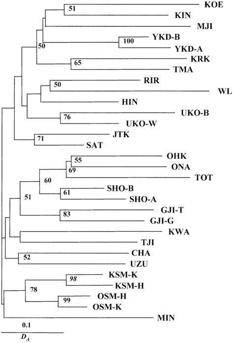 Fig Neighbour Joining Dendrogram Showing The Genetic Relationships