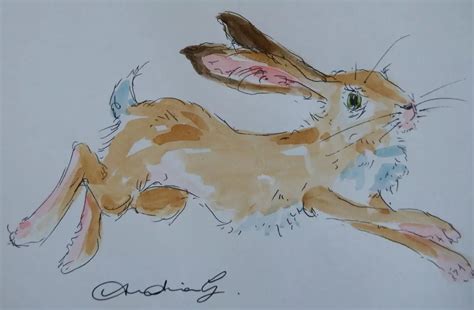 Come Disegnare Una Lepre