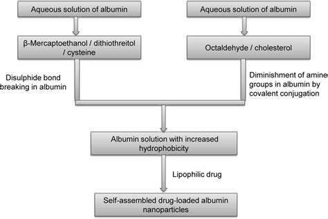 Preparation Of Drug Loaded Albumin Nanoparticles Using Self Assembly