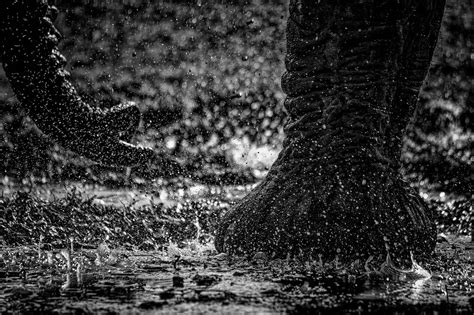 Splish Splash Shannonwild