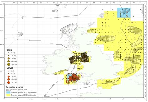 Cod Spawning Grounds Around The Uk Data Based On Coull Et Al 1998