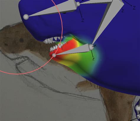 Animation Blender Rigging Weightpaint Not Working Blender Stack Exchange