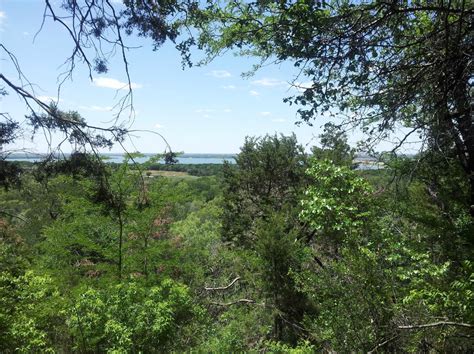 2024年7月cedar Ridge Preserve Managed By Audubon Dallas景点攻略 Cedar Ridge
