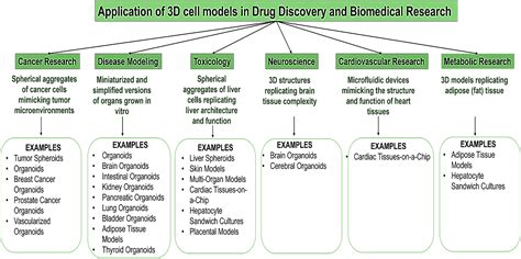Leveraging 3d Cell Culture And Ai For Next Generation Drug Discovery