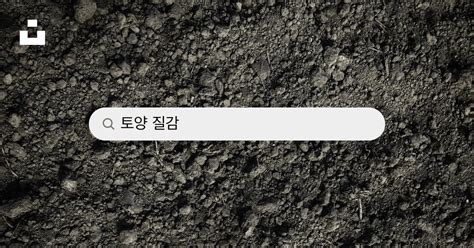 토양 질감 사진 Unsplash에서 무료 이미지 다운로드