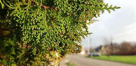 Molnár Alex Photography