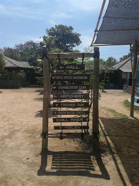 Indonesia Bali Serangan Turtle Conservation And Education Center
