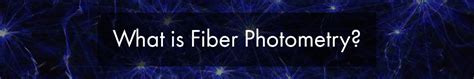 What Is Fiber Photometry Detecting Population Neural Activity Mightex