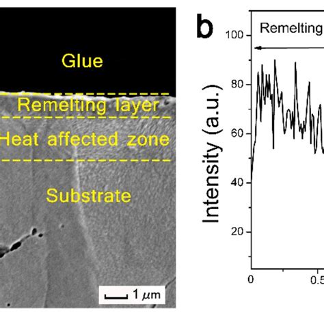 A A Cross Section Sem Image And B Eds Line Scanning Analysis Of The
