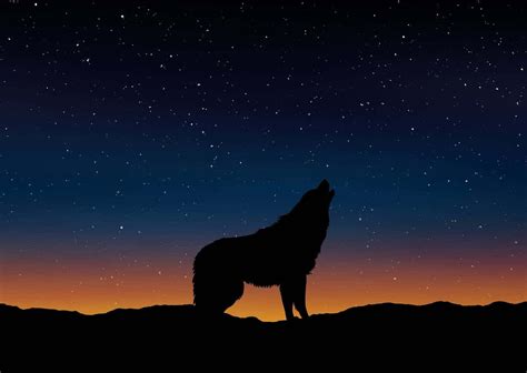 Download Majestic Wolf Silhouette Against A Moonlit Sky Wallpaper