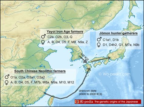 The Origins Of The Japanese People Japanese History Wapedia
