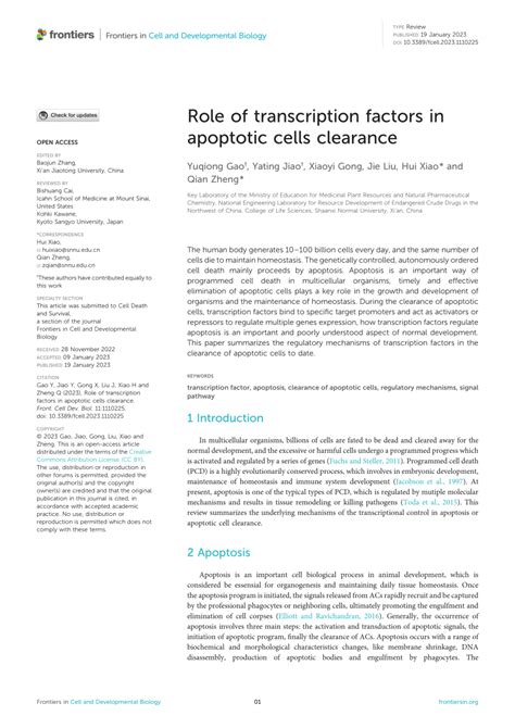 PDF Role Of Transcription Factors In Apoptotic Cells Clearance