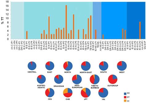 Distribution Of Mthfr Polymorphism Frequencies Of The Tt Genotype Of