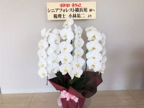 御礼開所祝いのお花 お知らせ 株式会社メディカルケアシステム 神奈川県の横浜湘南エリアを中心に介護付有料老人ホーム認知症