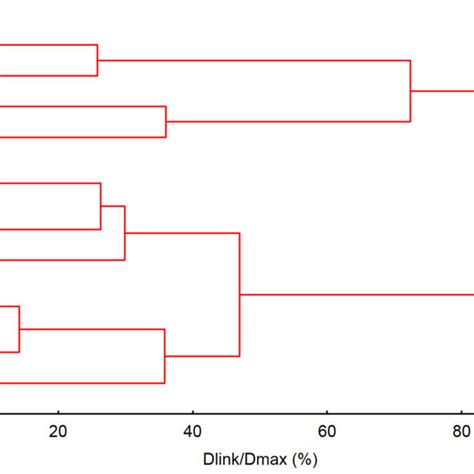 Dendrogram From Cluster Analysis Download Scientific Diagram