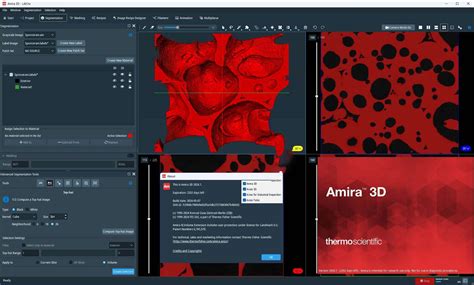 Download Thermosientific Avizo 202511 December 2025 Update