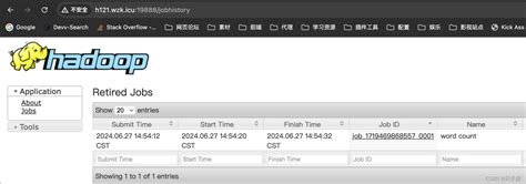 Hadoop 06 Hadoop集群 历史服务器配置 超详细 执行任务记录 Jobhistoryserver Mapreduce执行记录 日志