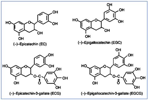 Green Tea Catechins Attenuate Neurodegenerative Diseases And Cognitive