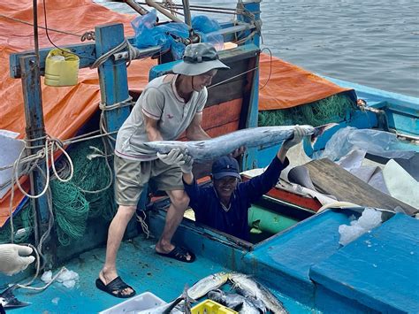 Cùng Ngư Dân Thắp Sáng đèn Trên Biển” Chung Tay Gỡ Thẻ Vàng Ec