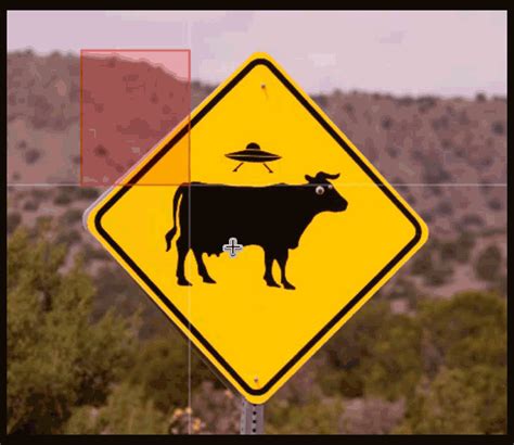 How To Annotate With Bounding Boxes Guide And Examples