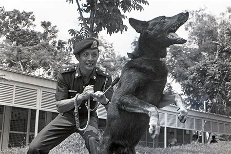 Police Life History Of The Police K 9 Unit