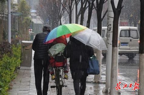武汉今冬首场大雪降临 图集武汉新闻中心长江网cjncn