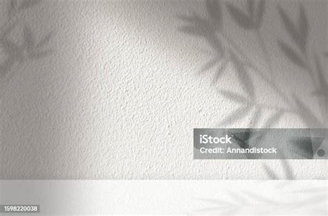 스튜디오 배경 회색 콘크리트 벽 배경에 햇빛 효과가 있는 대나무 잎 그림자 시멘트에 나뭇잎 실루엣이 있는 빈 흰색 스튜디오 룸 디스플레이 제품 프레젠테이션을 위한 배경