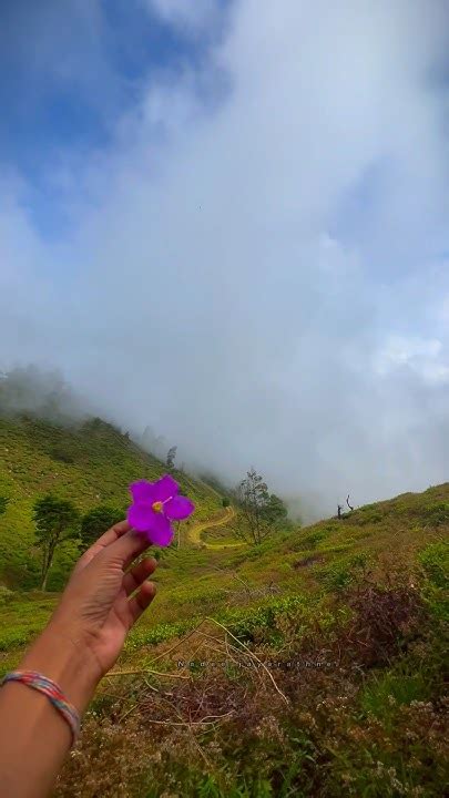 ඇස් වලින්ම ඒ View එක දකිද්දී දැනෙන හැගීම් වලට පියාඹන්න අහසෙ ඉඩ මදී 🥹💚 Nadeejayarathne Youtube