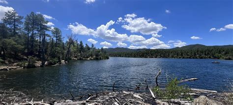 Lynx Lake Loop Trail Arizona 3 033 Reviews Map Alltrails