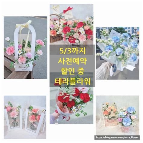 대전 어버이날 카네이션 상품 안내 2차 도안동꽃집 테라플라워 네이버 블로그