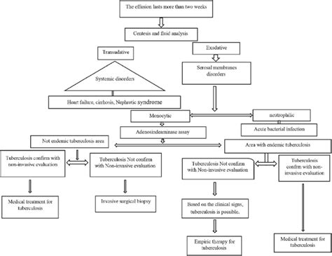 Diagnostic Approaches And Empirical Treatment Download Scientific