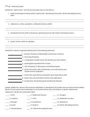 102 Lab Endocrine System Docx 102 Lab Endocrine System Identify The Odd Hormone From The