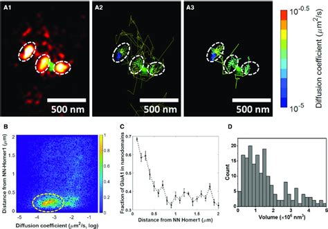 Synaptic Nanodomains Of Glua1 Ampars A1 A3 A1 Representative Image